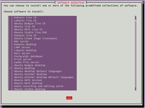 Install Tigervnc Ubuntu Retitronics