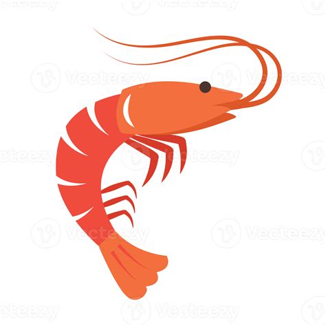 Shrimp Cute Cartoon 25219763 Png