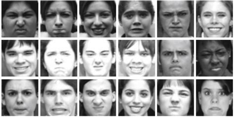 Robust Facial Expression Recognition Using An Evolutionary Algorithm With A Deep Learning Model
