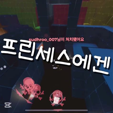 프린세스의 규칙 💖👑 이베이드 로블록스 Roblox 로블계 이베계 Youtube