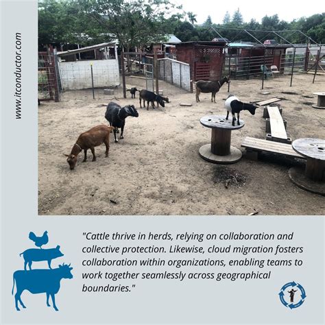 Eureka Itconductor Cloudmigration Digitaltransformation Agriculture It Conductor Inc