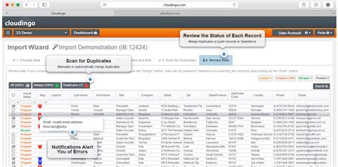 salesforce data import and duplicate prevention tool