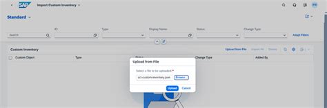 Exporting And Importing Custom Objects And Cpe Pac Sap Community