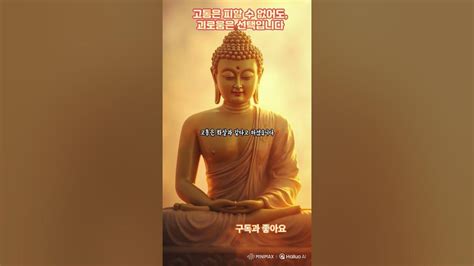 고통은 피할수 없어도 부처님의 말씀 인생명언 책읽기 책읽어주는여자 명언 오디오북 책읽어주는 명언 좋은글 마음의소리로쓰는글 인생조언 자기수행 동기부여