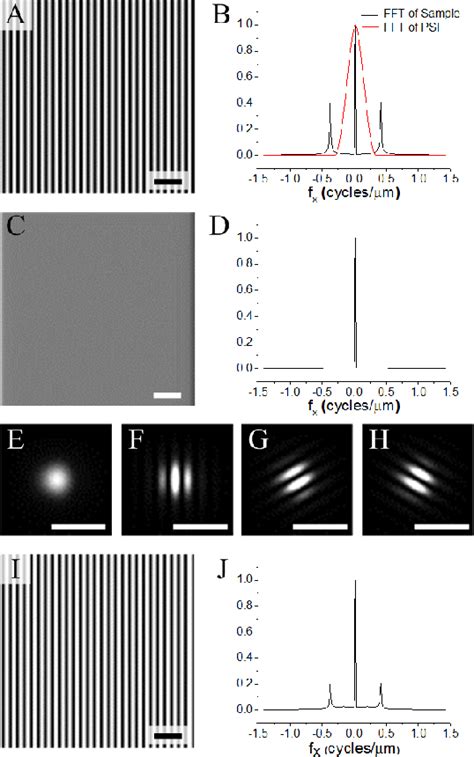 Figure 1 From Super Resolution Scanning Laser Microscopy Through