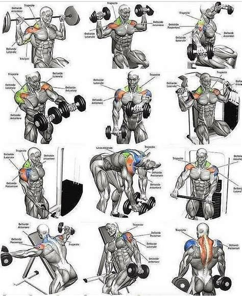 Ejercicios Funcionales Para Hombro Smxc