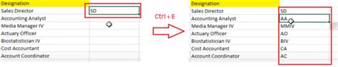 How To Use Flash Fill In Excel ExcelTutorial