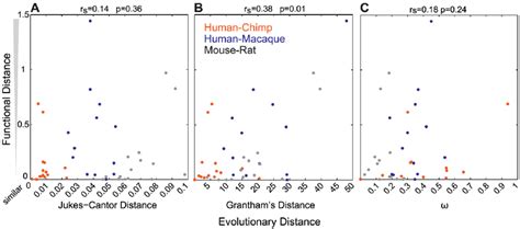 Sequence Similarity Does Not Accurately Predict The Functional Download Scientific Diagram