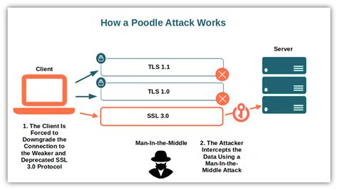 Tls Versions What They Are And Which Ones Are Still Supported