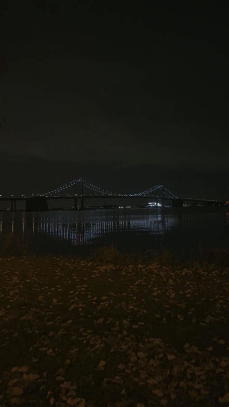 Bridge Identification R Bridges