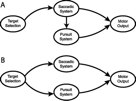 Fig 8 Linked Target Selection For Saccadic And Smooth Pursuit Eye Movements Journal Of