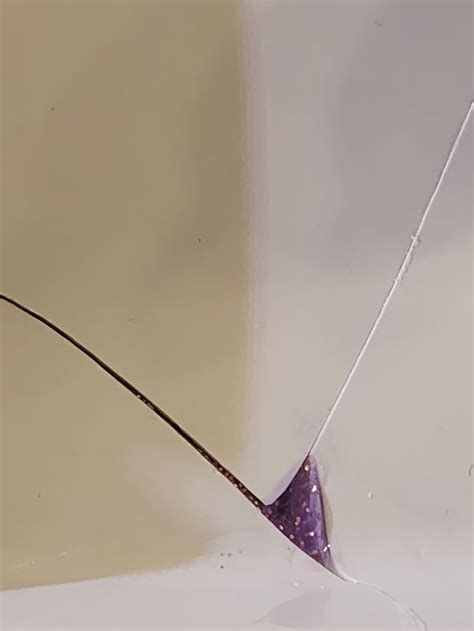 Decided To Try Glitter Glue To Fill In The Gaps In Our Broken Porcelain Tray R Kintsugi