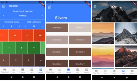 Layout Of The Flutter Example Flutter App Development
