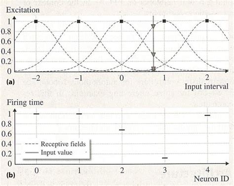 9 a population encoding based on gaussian receptive fields a for