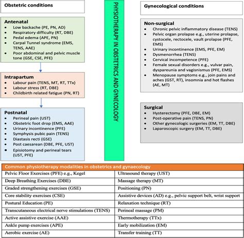 Common Conditions In Obstetrics And Gynecology Indicated For Physiotherapy Download Scientific
