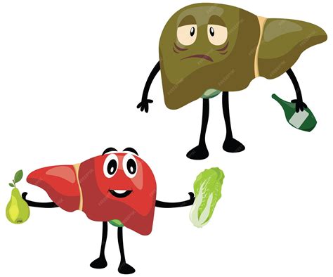 Healthy Liver Vs Unhealthy Liver At Alex Wright Blog