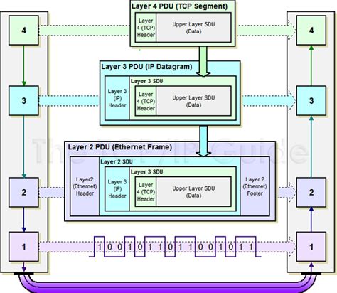 Protocol Data Unit Pdu Teknologi