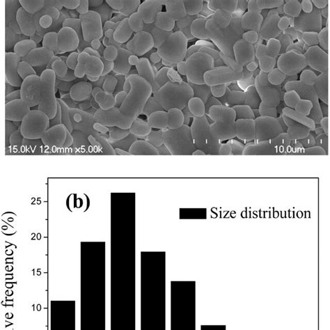 a typical sem photo a and the particle size distribution b of