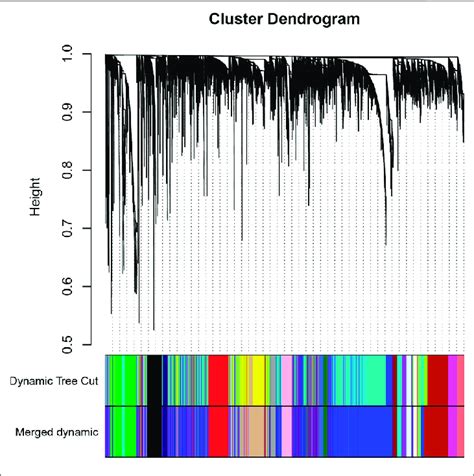 The Cluster Dendrogram Of Module Eigengenes Download Scientific Diagram