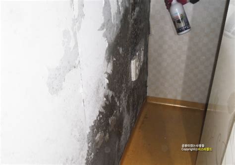 벽 곰팡이제거 및 재발 방지 방법은 네이버 블로그 벽 곰팡이제거 및 재발 방지 방법은 네이버 블로그