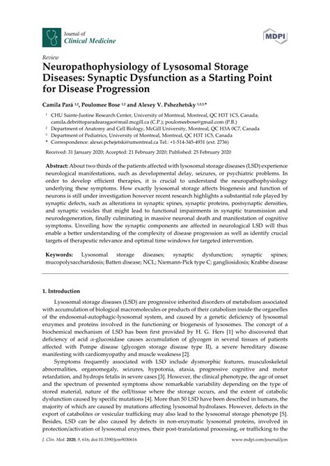 Pdf Neuropathophysiology Of Lysosomal Storage Diseases Synaptic