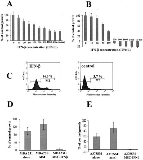 Effect Of Recombinant Interferon Beta Ifn And Mesenchymal Stem Cells