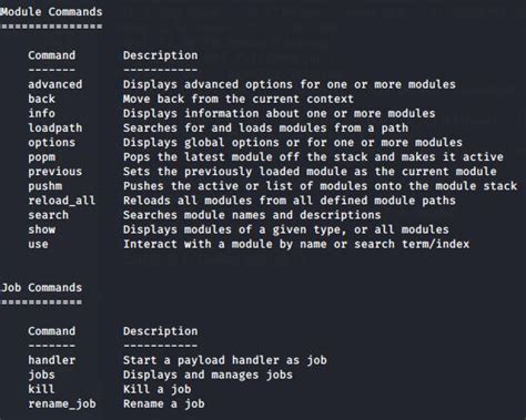 [penetration Testing] Metasploit For Beginners Adrin Anthony Aa