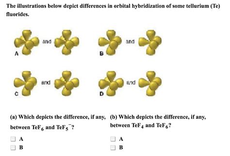 The Illustrations Below Depict Differences In Orbital