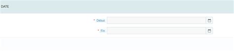Résolu Ajouter Une Valeur Par Défaut à Un Input De Type Date Depuis