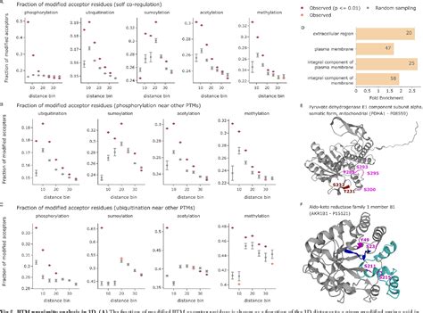Figure 5 From The Structural Context Of Posttranslational Modifications At A Proteome Wide Scale
