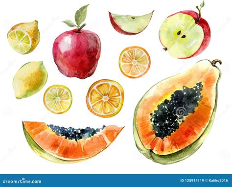 Fruit Cross Section Of Island Longitudinal Cut Of A Fruit Hi Res Stock
