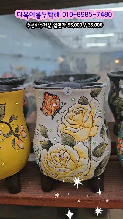 수선화수제분 입고 다육이를부탁해 이찬원 참좋은날 다육이화분 수선화공방분 Youtube