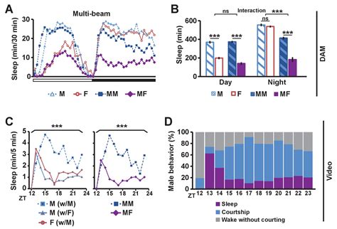 figures and data in identification of octopaminergic neurons that