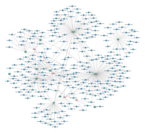 Mirna Mrna Regulatory Network Circle And Diamond Nodes Indicate Genes Download Scientific
