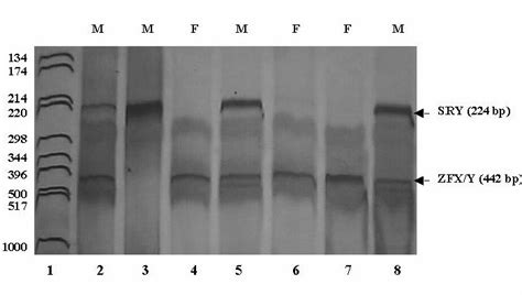 Figure 2 From Species And Gender Differentiation Between And Among