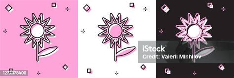 분홍색과 흰색 검은 색 배경에 격리 된 해바라기 아이콘을 설정합니다 벡터 0명에 대한 스톡 벡터 아트 및 기타 이미지 0명