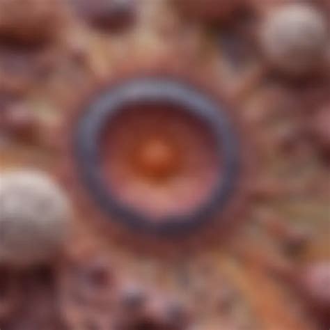 Lymph Node Carcinoma Comprehensive Insights