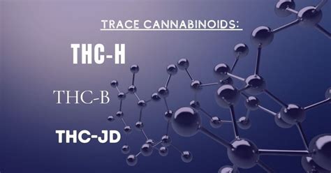 Thc H Thc Jd And Thc B Your Guide To Trace Cannabinoids And Their Effects Modern Apotheca