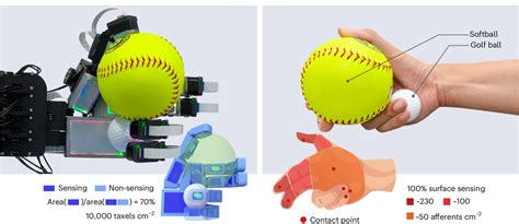 Robotic Hand With Unprecedented Tactile Sensitivity Achieves Human Like Dexterity In Real World
