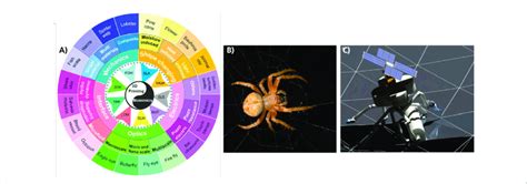 A Biomimetic Concepts And Their Possible Influence Within Different