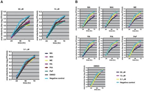 Decrease Of Viral Infectivity Titer Of Influenza B Viral By Download Scientific Diagram