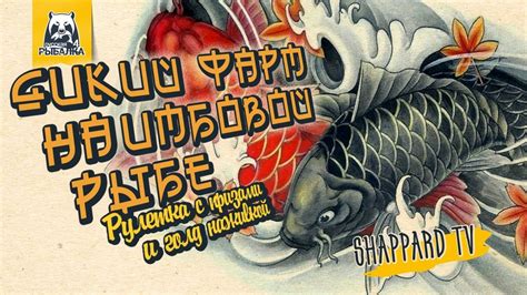 Русская рыбалка 4 🌎Пониженная на Медном 🐠Снасти премы и голд наживки в рулетке 🔥 Youtube