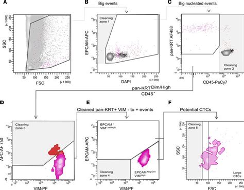 Jci Insight Sensitive And Easy Screening For Circulating Tumor Cells