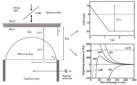 1 Schematic Diagram Of A Mica Surface Approaching A Mercury Drop Top Download Scientific