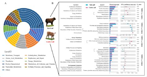 Predicted Microbial Functions Using Picrust A Relative Abundances Of