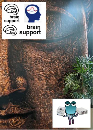 Neuroinsight