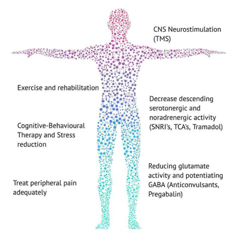 The Neuropsychiatry Of Fibromyalgia Etiology And Management