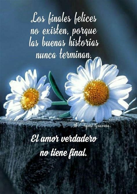Pin De Judith En Flores De Margaritas 🌼 Frases Maravillosas Frases