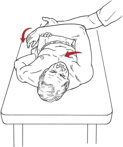 Shoulder MMT Flashcards Quizlet