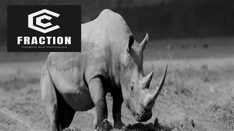 Fraction Practical Business Insights And Motivation A Week In Review